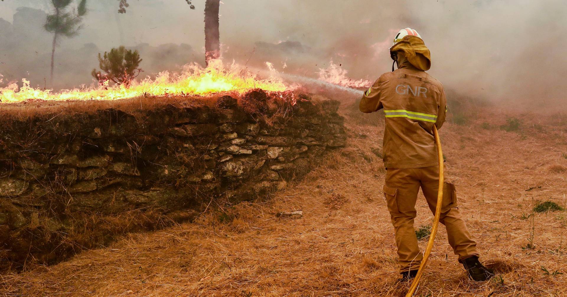 Incêndio em Trancoso: aldeia de Terrenho teve de ser evacuada após agravamento das chamas esta ...
