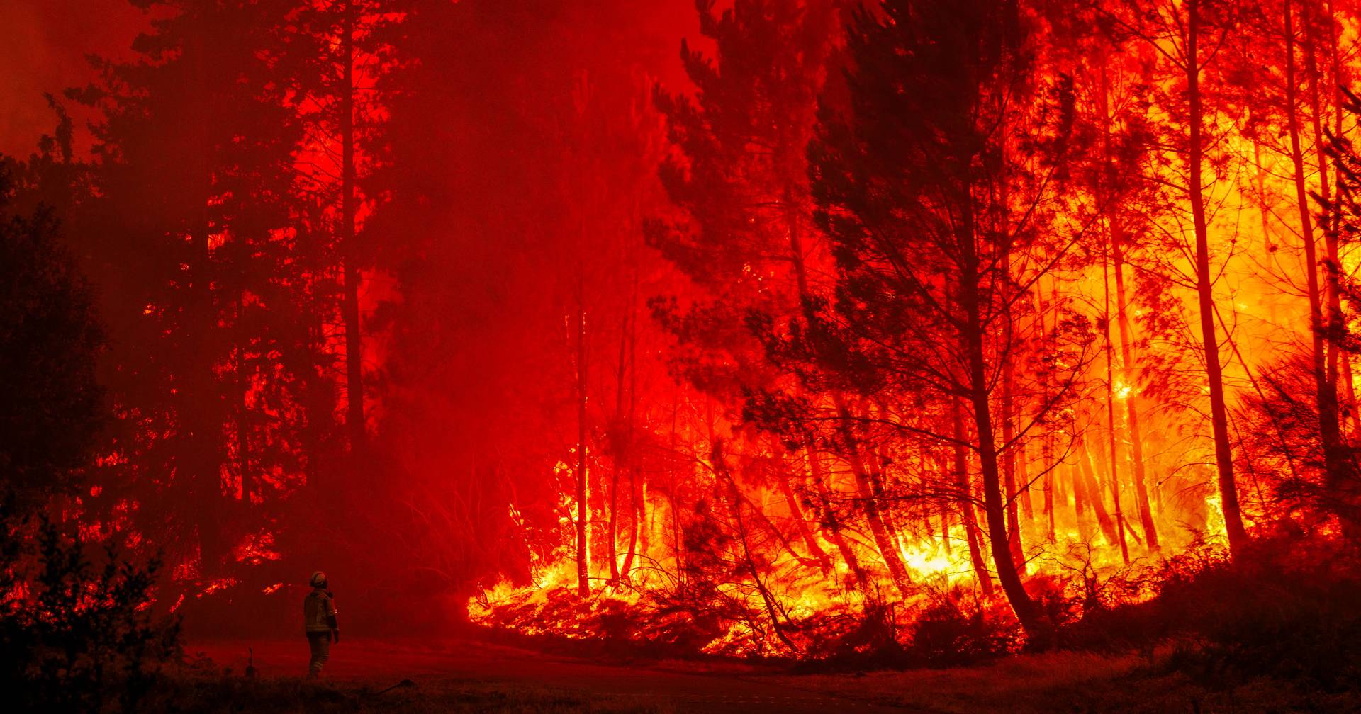 Incêndio em Tabuaço: bombeiros conseguem dominar frente em Paradela ...