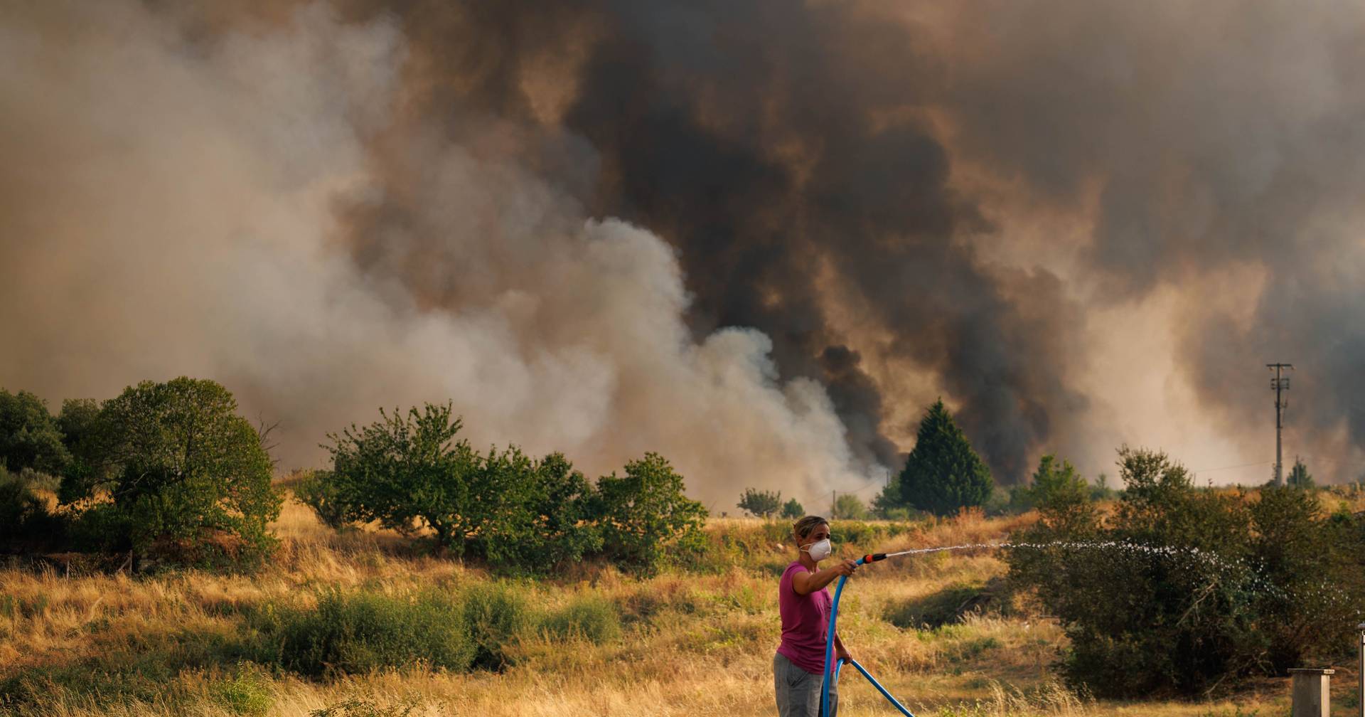 Incêndios: Mêda pede ao Governo que declare situação de calamidade ...