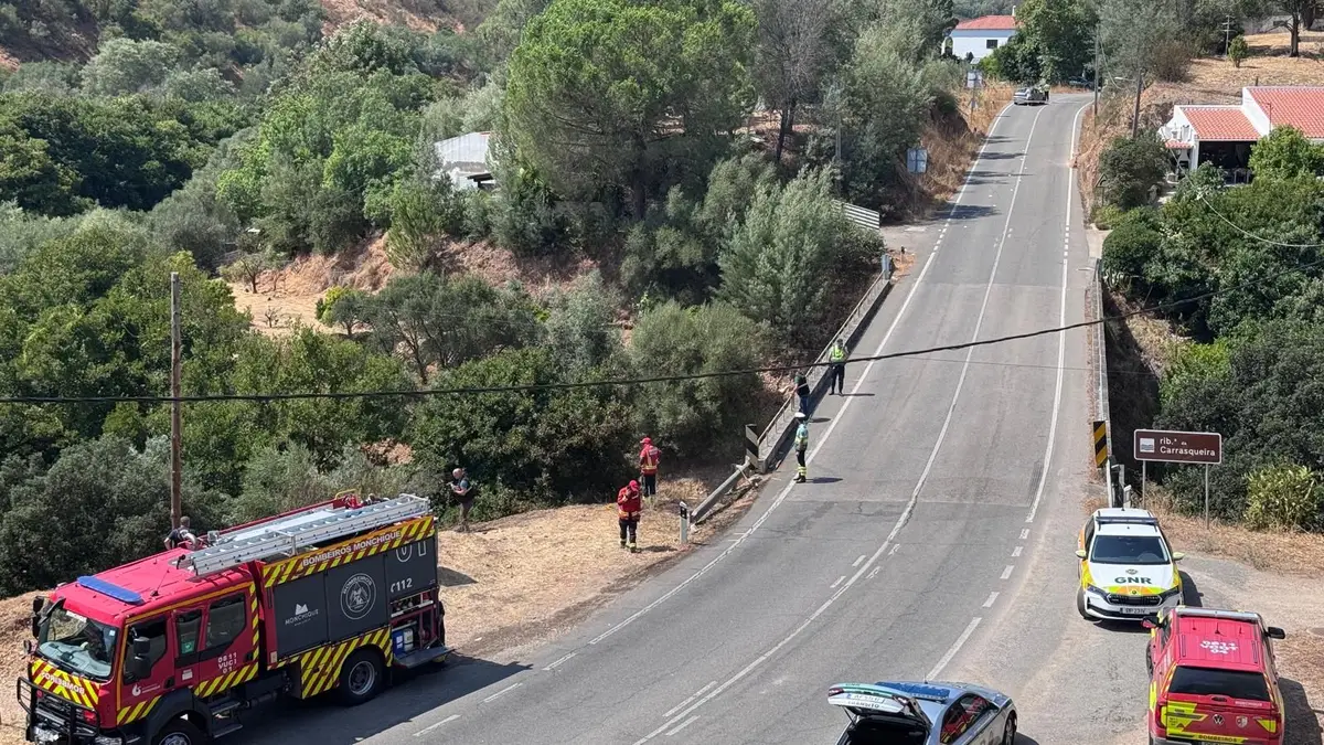 Despiste no Algarve faz cinco mortos - SIC Notícias