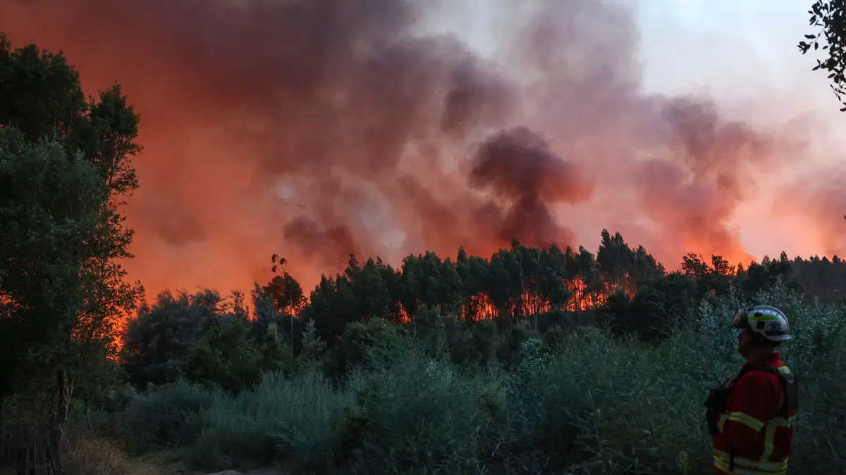 Chamas em Pedrógão Grande trouxeram à memória a tragédia de 2017 - SIC ...
