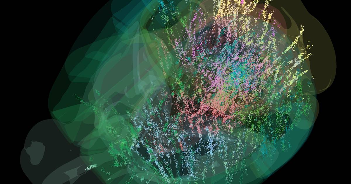 Inédito: neurocientistas revelam primeiro mapa cerebral completo ...