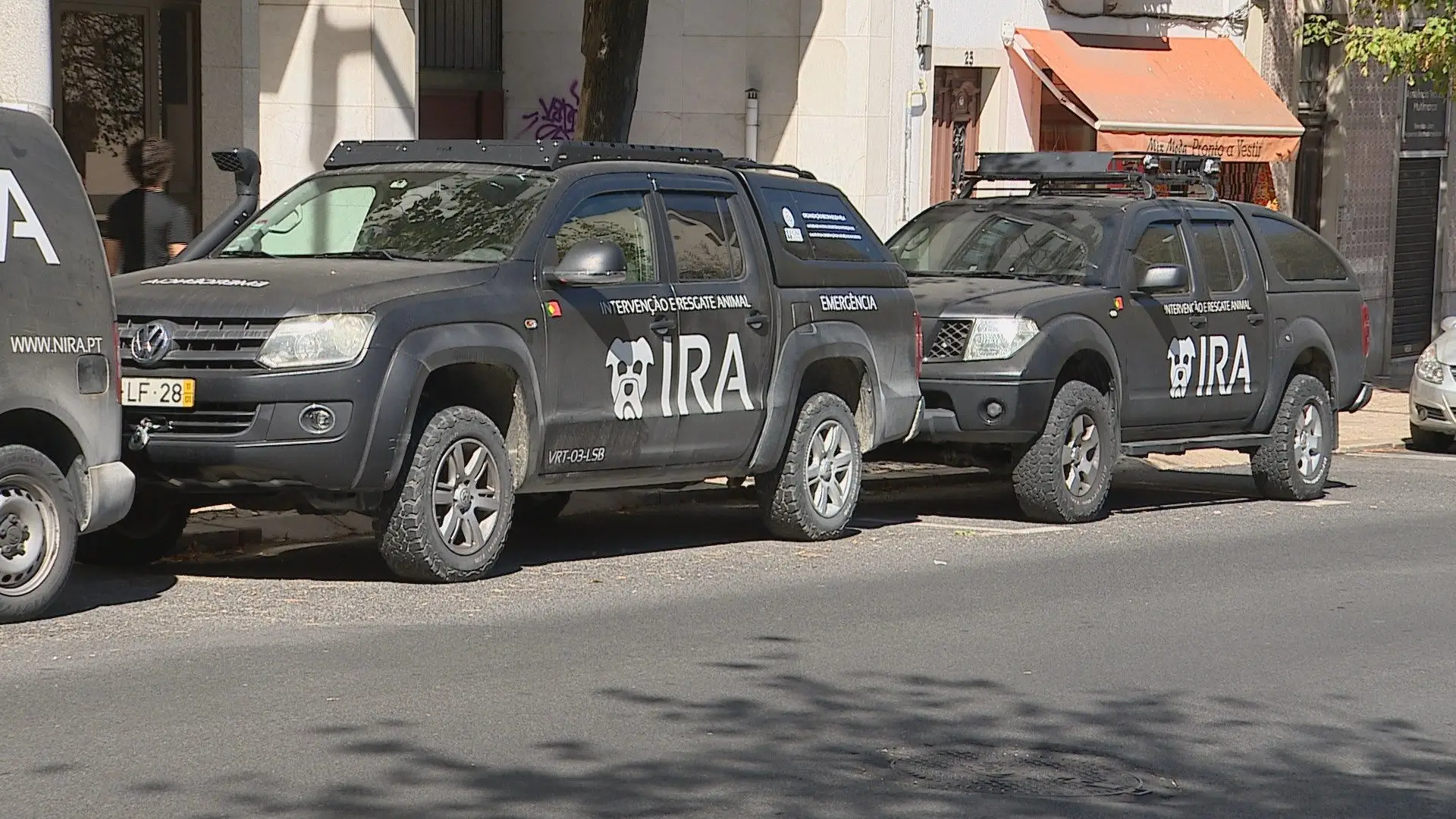 IMT anula autorização ao IRA para circular em marcha de urgência ...
