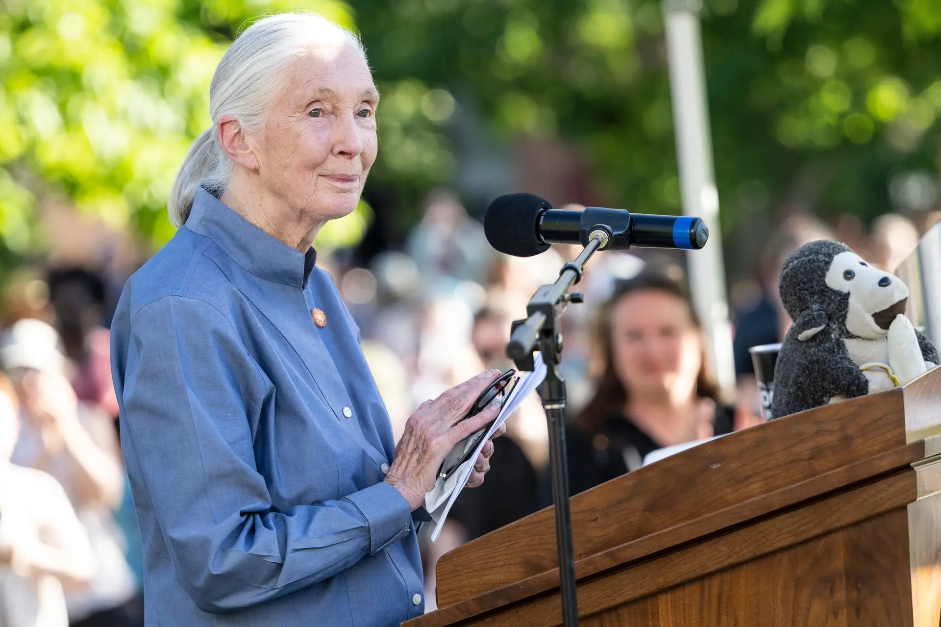 Revelada a causa da morte de Jane Goodall, famosa ativista dos direitos ...