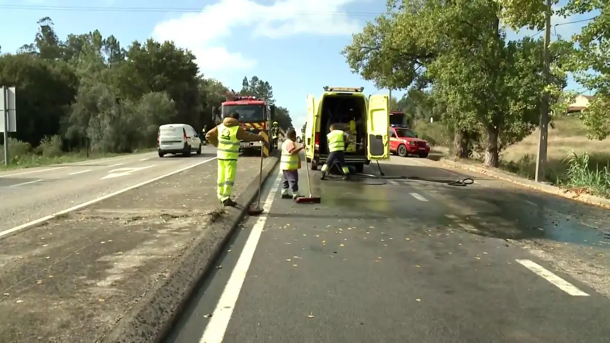 Colisão frontal no IC2 em Soure causa dois mortos e dois feridos graves - SIC Notícias