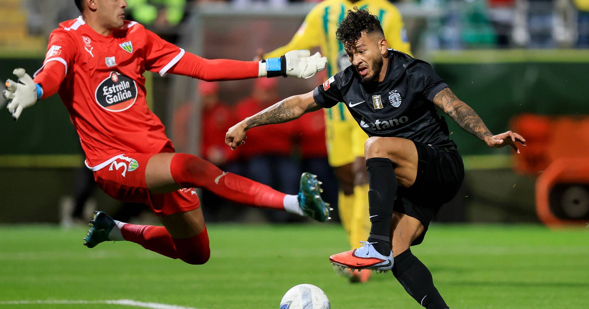 "Exibição monstruosa de Bernardo Fontes impediu resultado mais volumoso ...