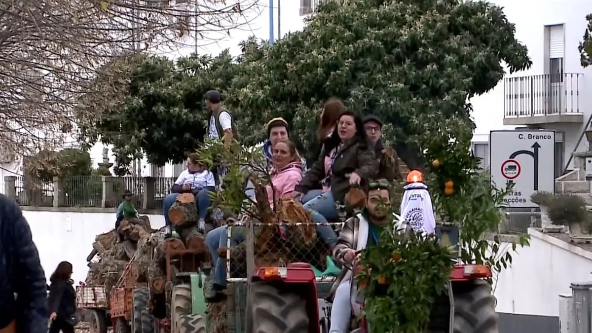 O maior madeiro de Natal: troncos gigantes chegam à vila de Penamacor ...