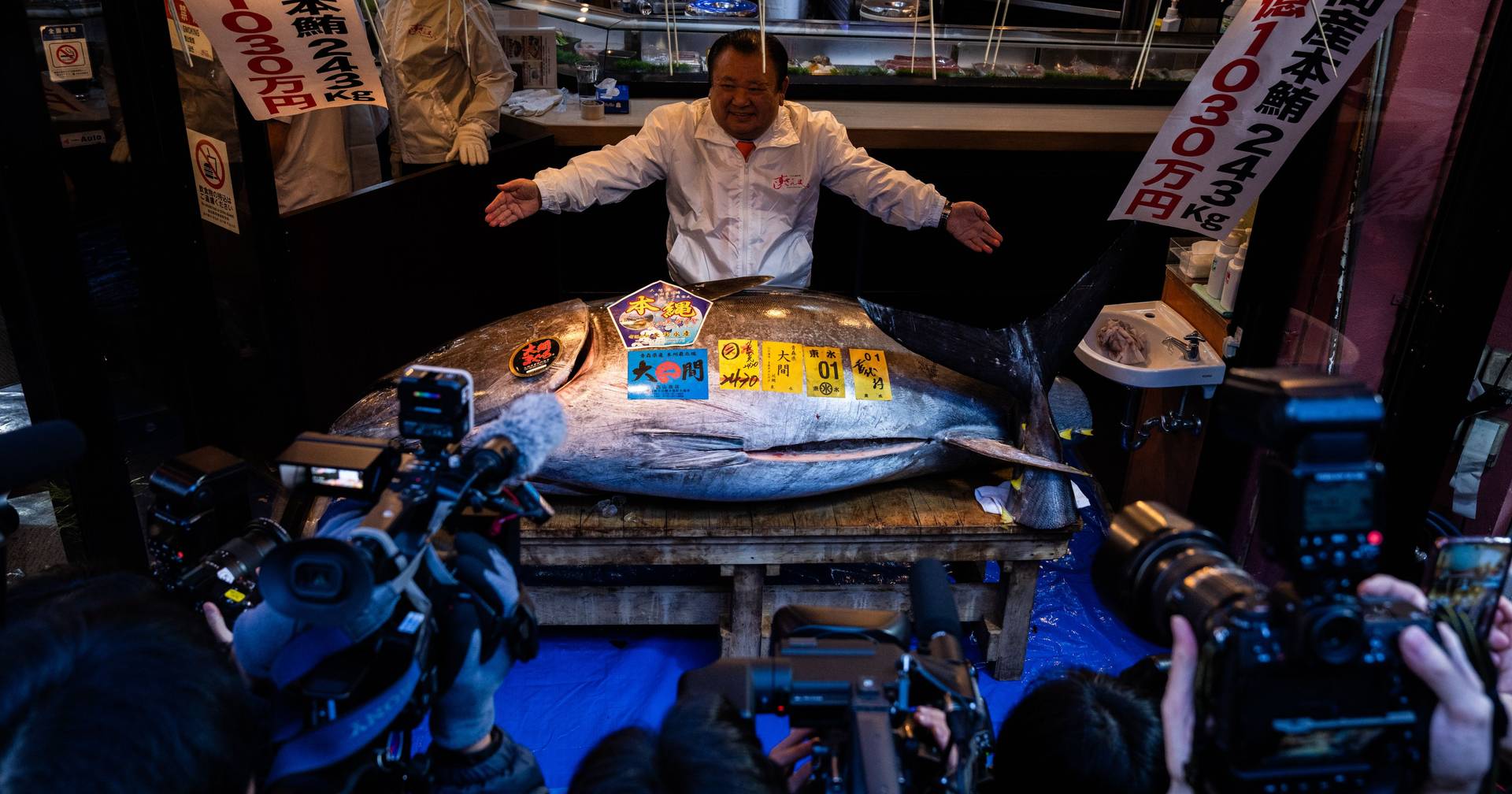 Atum com 243 kg leiloado por valor recorde de quase três milhões de ...
