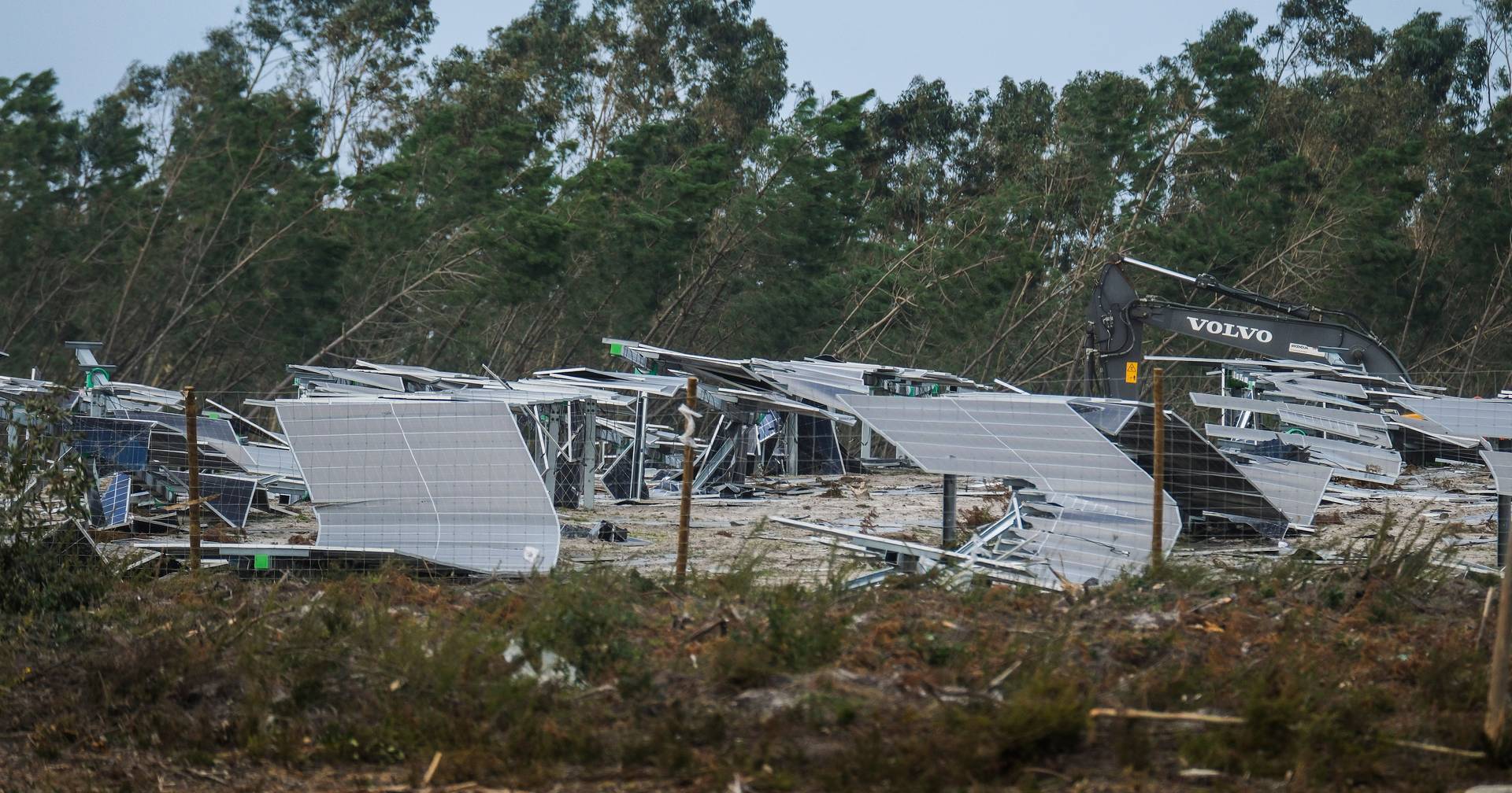 Marinha Grande em limpeza urgente para prevenir incêndios após passagem ...
