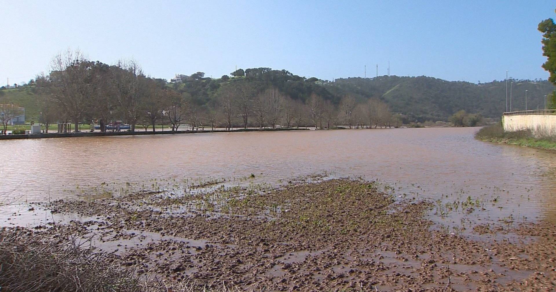 Rio Mira galga margens pela primeira vez em 20 anos e provoca prejuízos ...