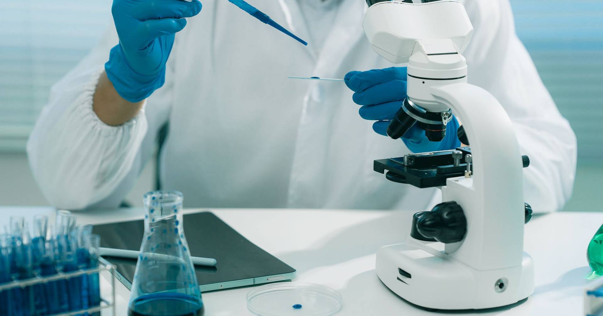 Universidade de Aveiro desenvolve nanocápsulas de carbono para ...