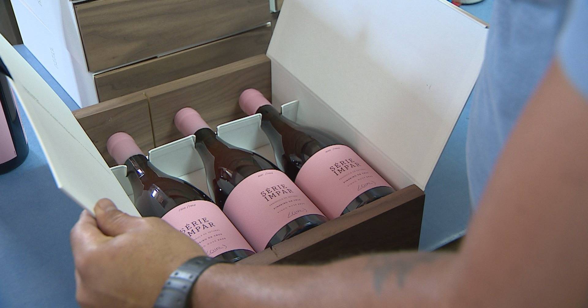 Reclusos de Pinheiro da Cruz produzem vinho rosé em projeto de ...